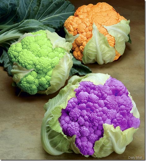 DesignTies: Colour is life